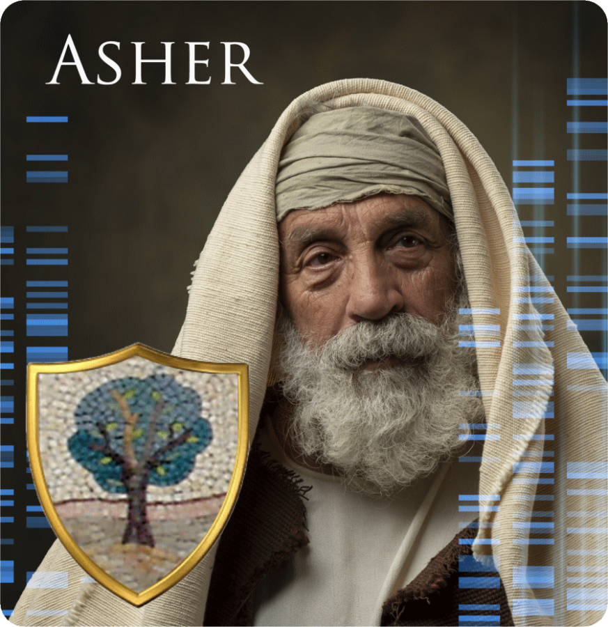 The Ten Lost Tribes of Israel: Asher